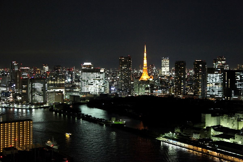 KACHIDOKI VIEW TOWER : Luxury Apartment in Chuo - HouseRep Tokyo