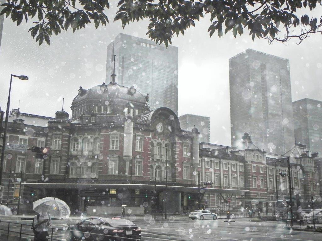 Hot and Humid? What is the weather like in Tokyo?: Things You Should Know Before Your Decision ...