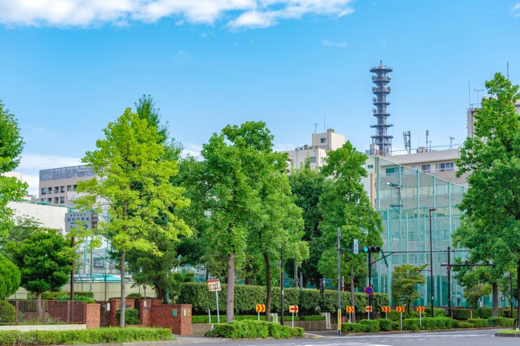 Shinjuku/Yotsuya/Hanzomon : Area Guides - HouseRep Tokyo